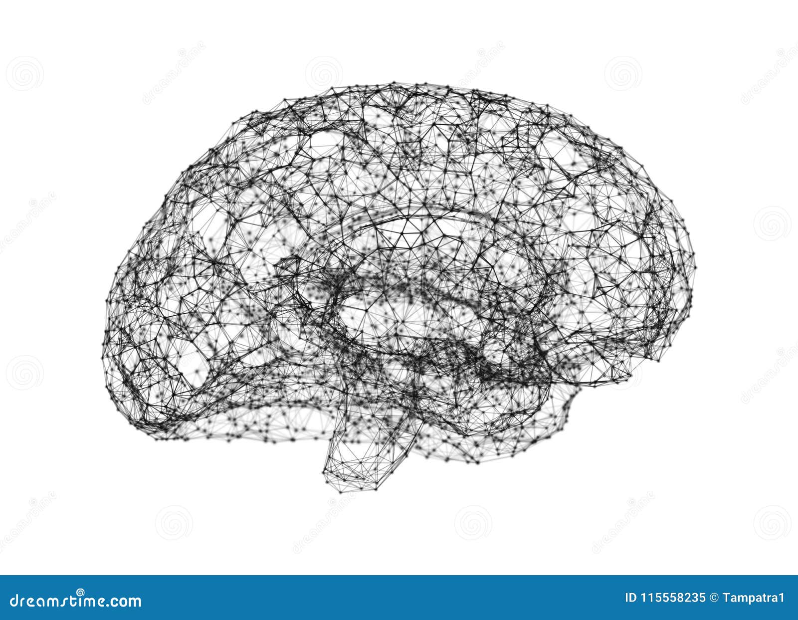 Human Brain on White Background in the Form of Artificial Stock ...