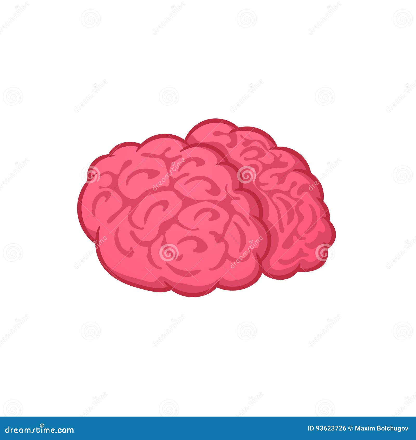 Human Brain on White Background, Vector Illustration, Cartoon Stock ...