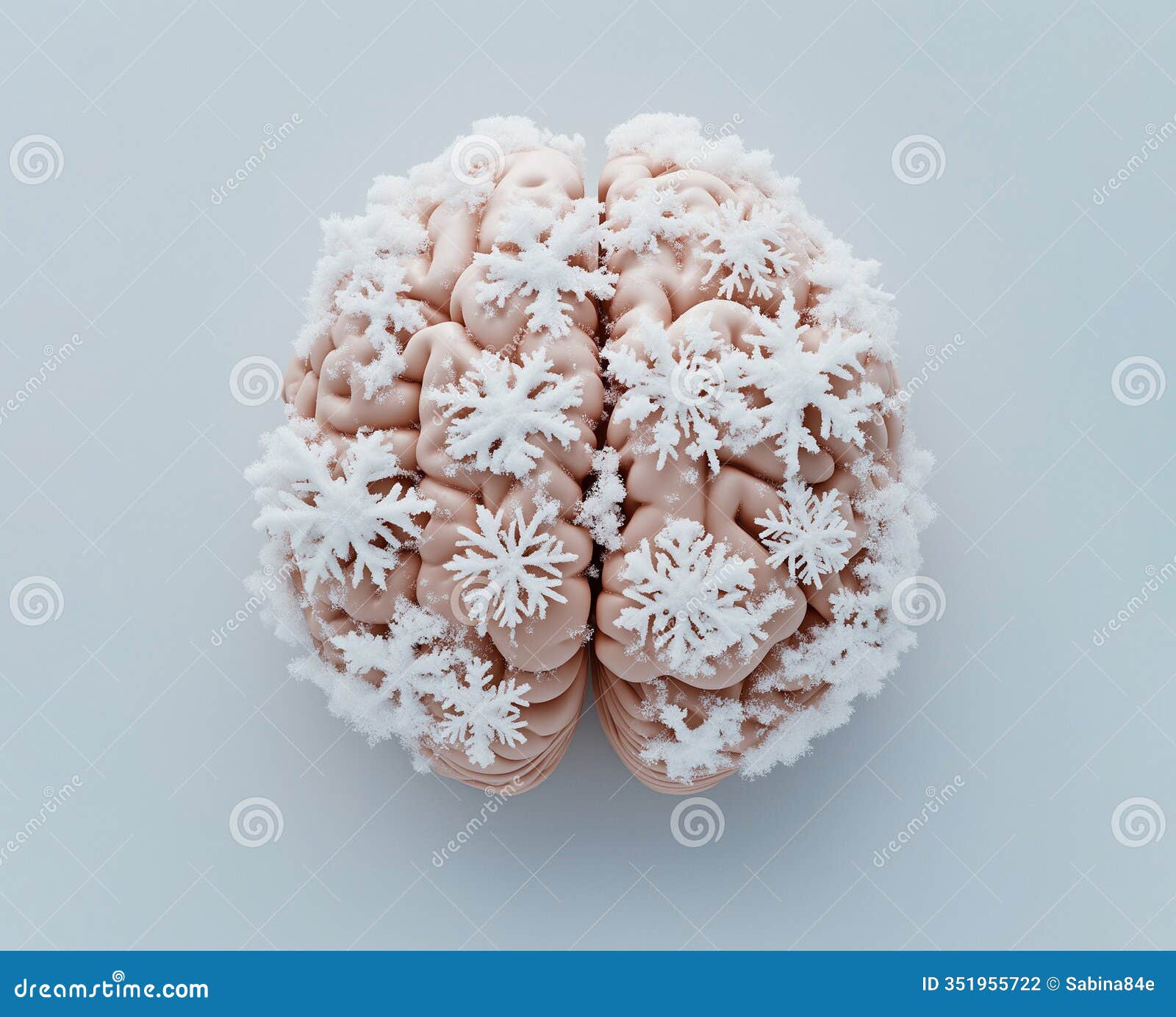 ? Human Brain with White Snowflakes Stock Illustration - Illustration ...