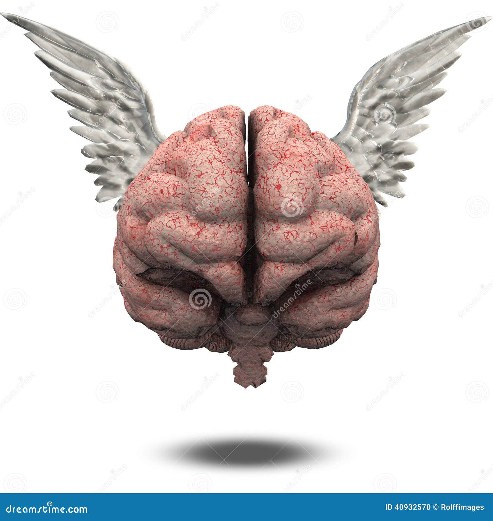 Human Wings Vector Illustration | CartoonDealer.com #111082828