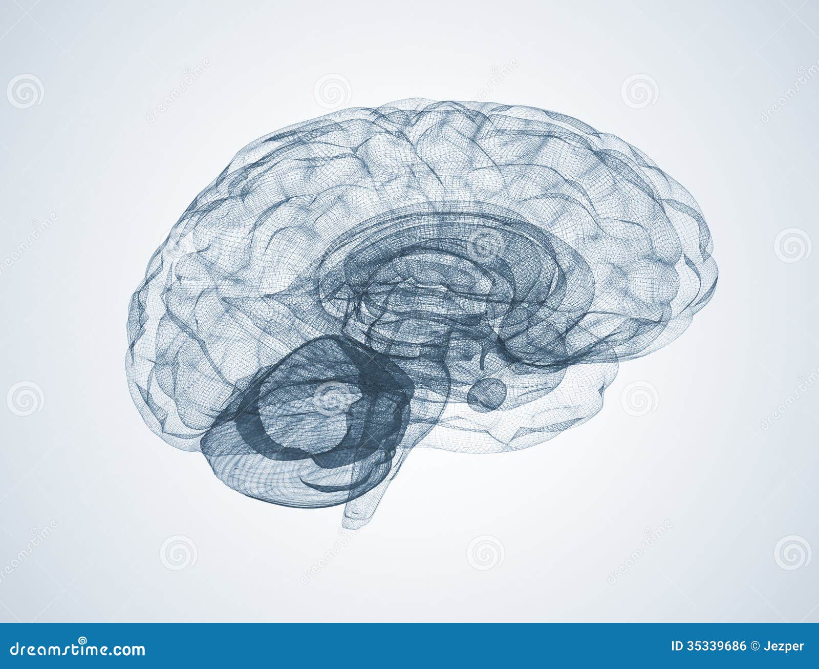 Human brain stock illustration. Illustration of organ - 35339686