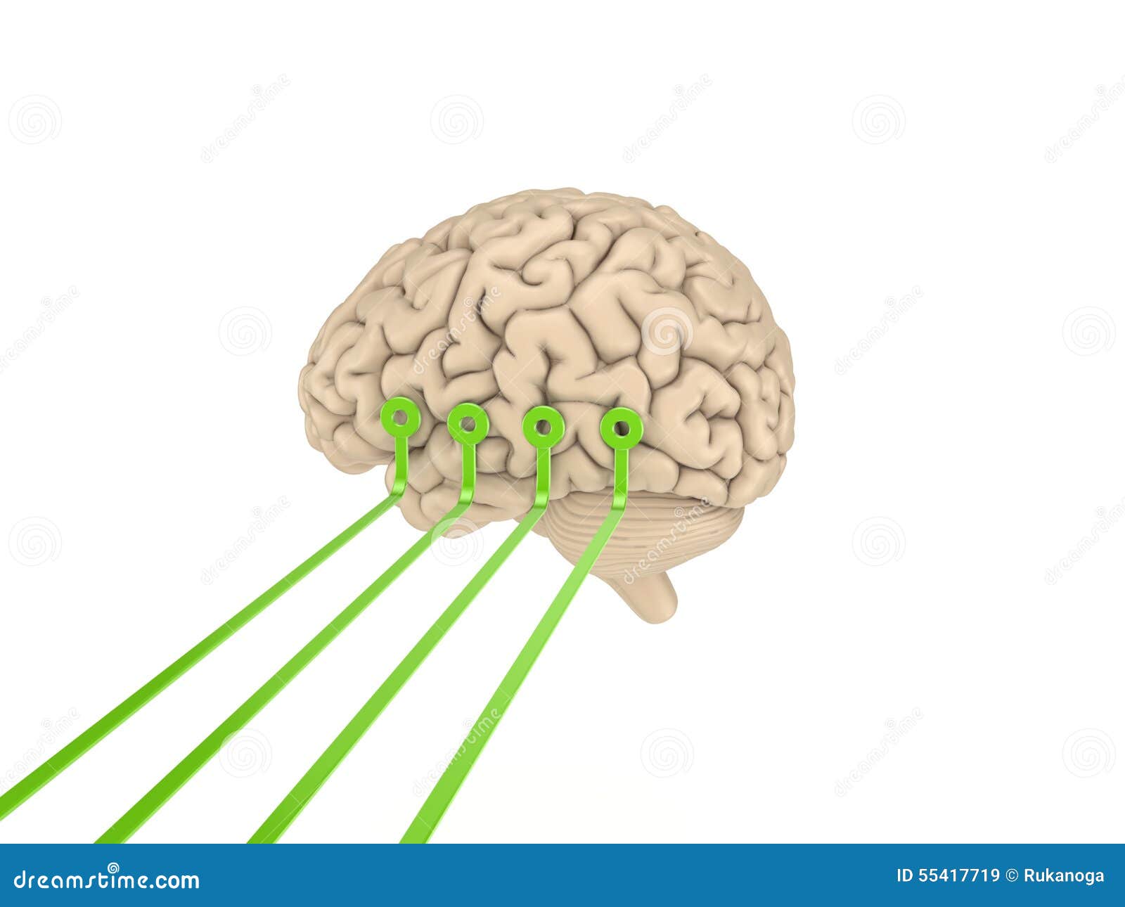 Human brain stock illustration. Illustration of cable - 55417719