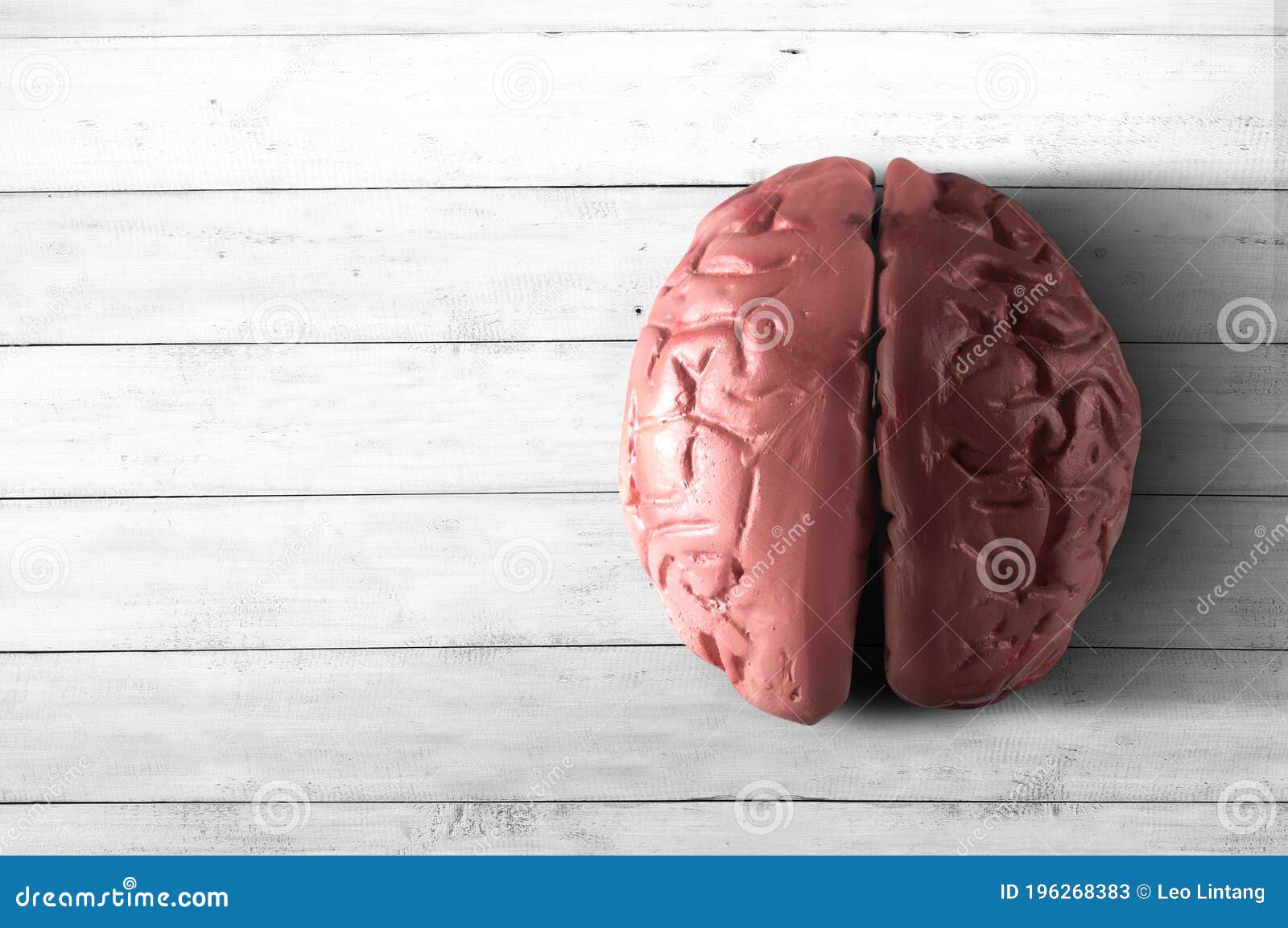 The human brain stock image. Image of background, imagination - 196268383