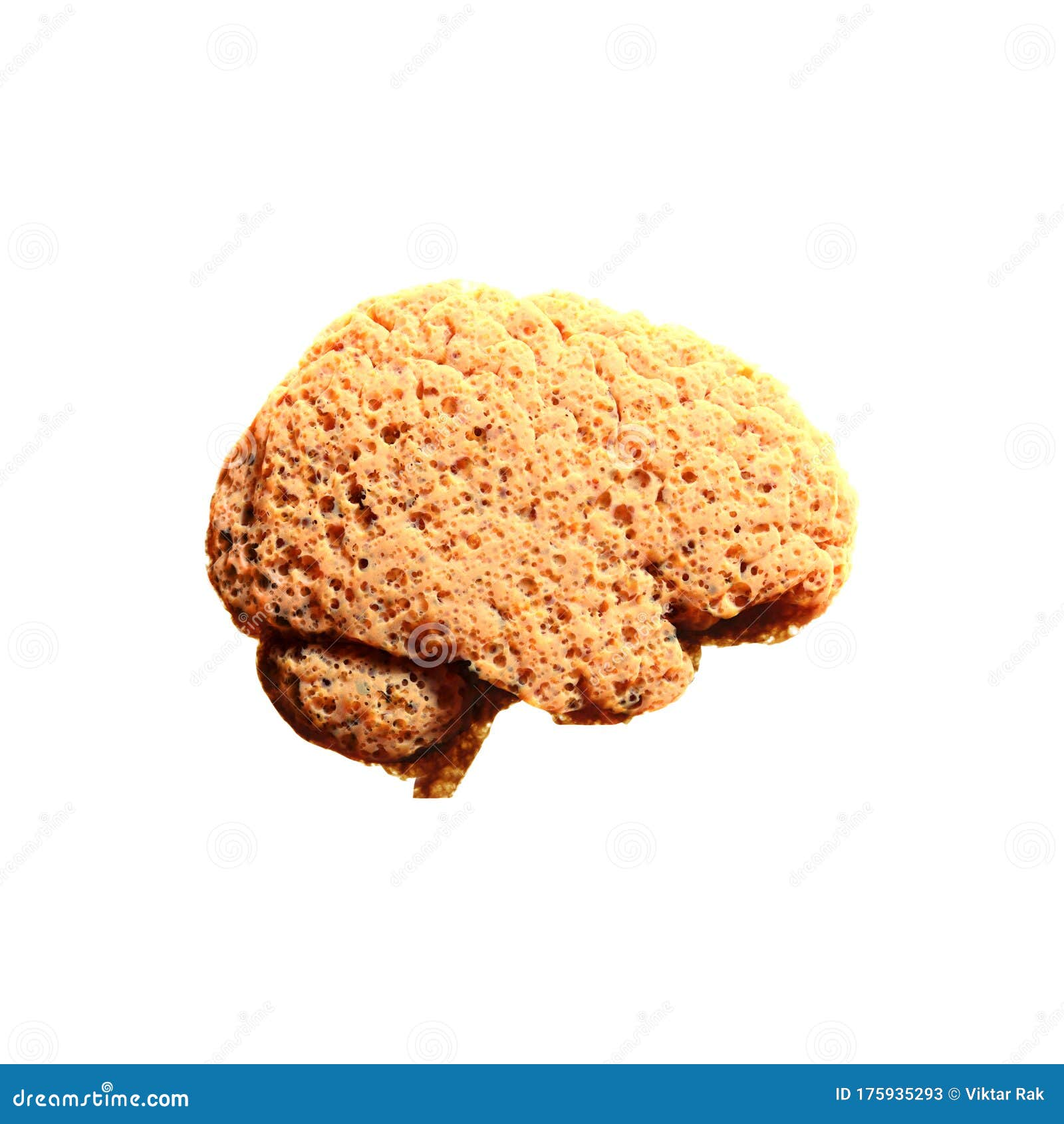 Human Brain from Yellow Sponge. Concept of Cognition, Learning ...