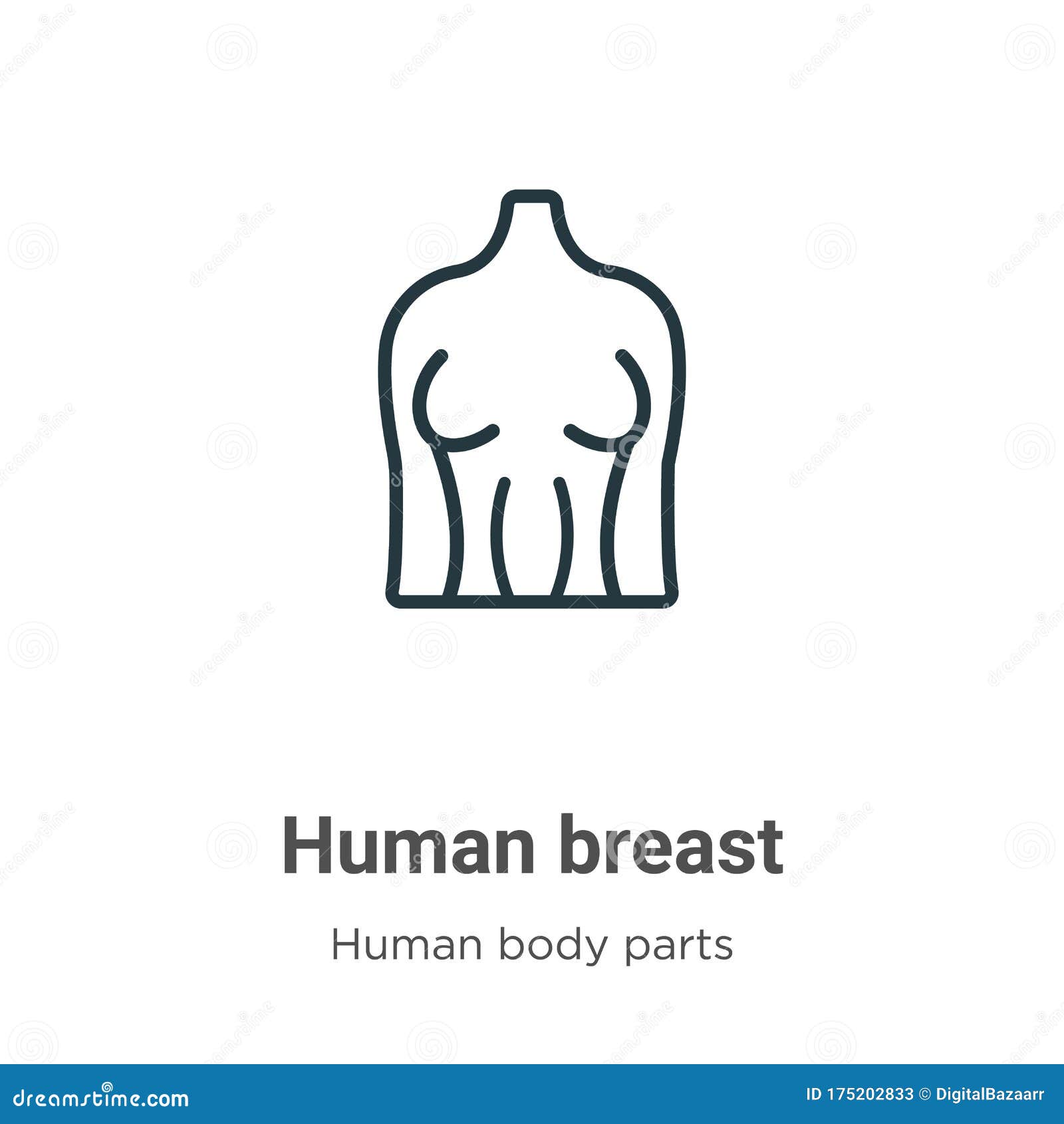 Human Breast Outline Vector Icon. Thin Line Black Human Breast Icon ...
