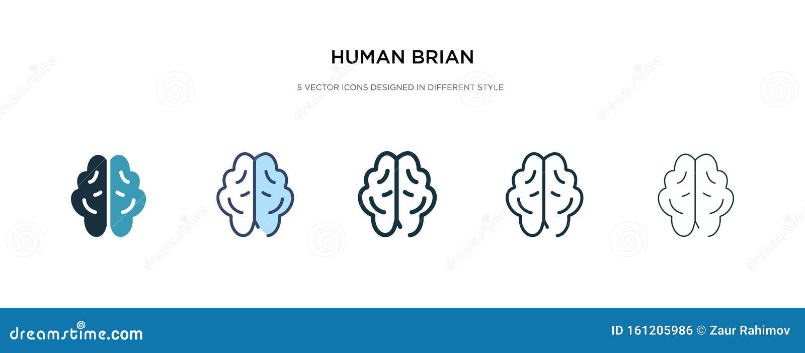 Human Brian Icon in Different Style Vector Illustration. Two Colored ...
