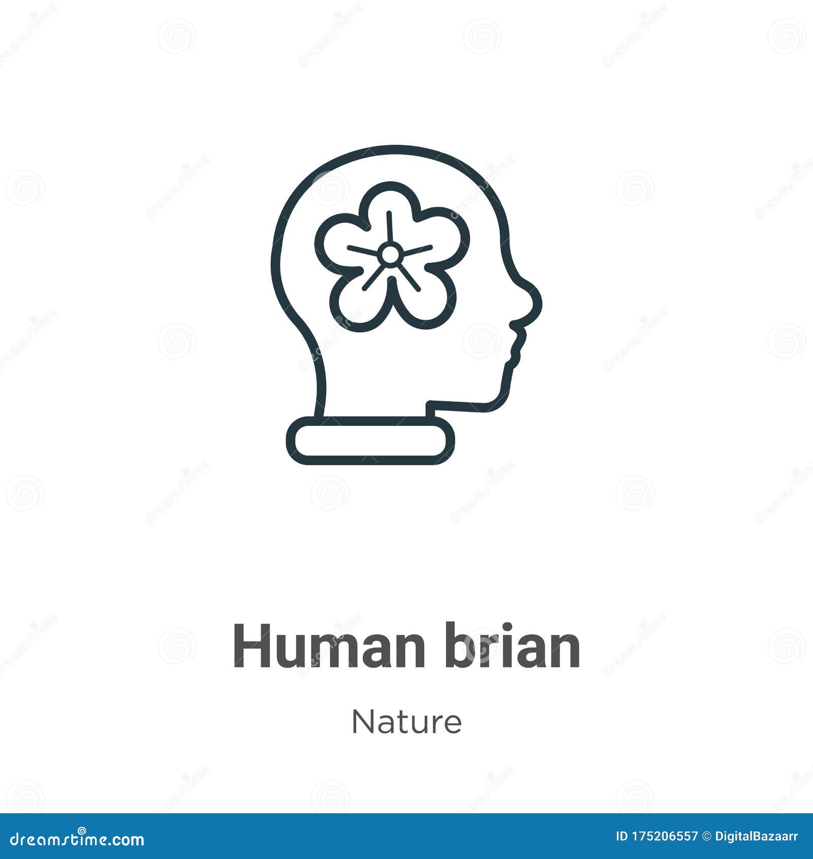 Human Brian, Stomach, Liver, Heart Isolated On White In Gray Color ...