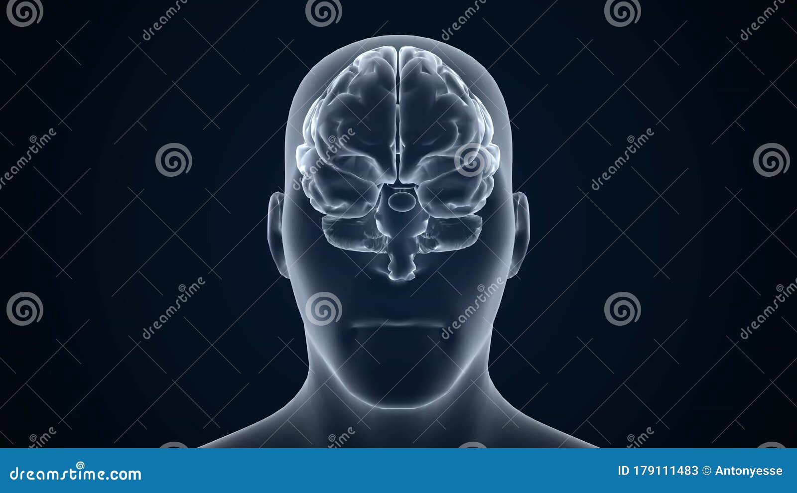 Human Brian Study on Diagnostic Computer Display. 3d Animation Stock ...