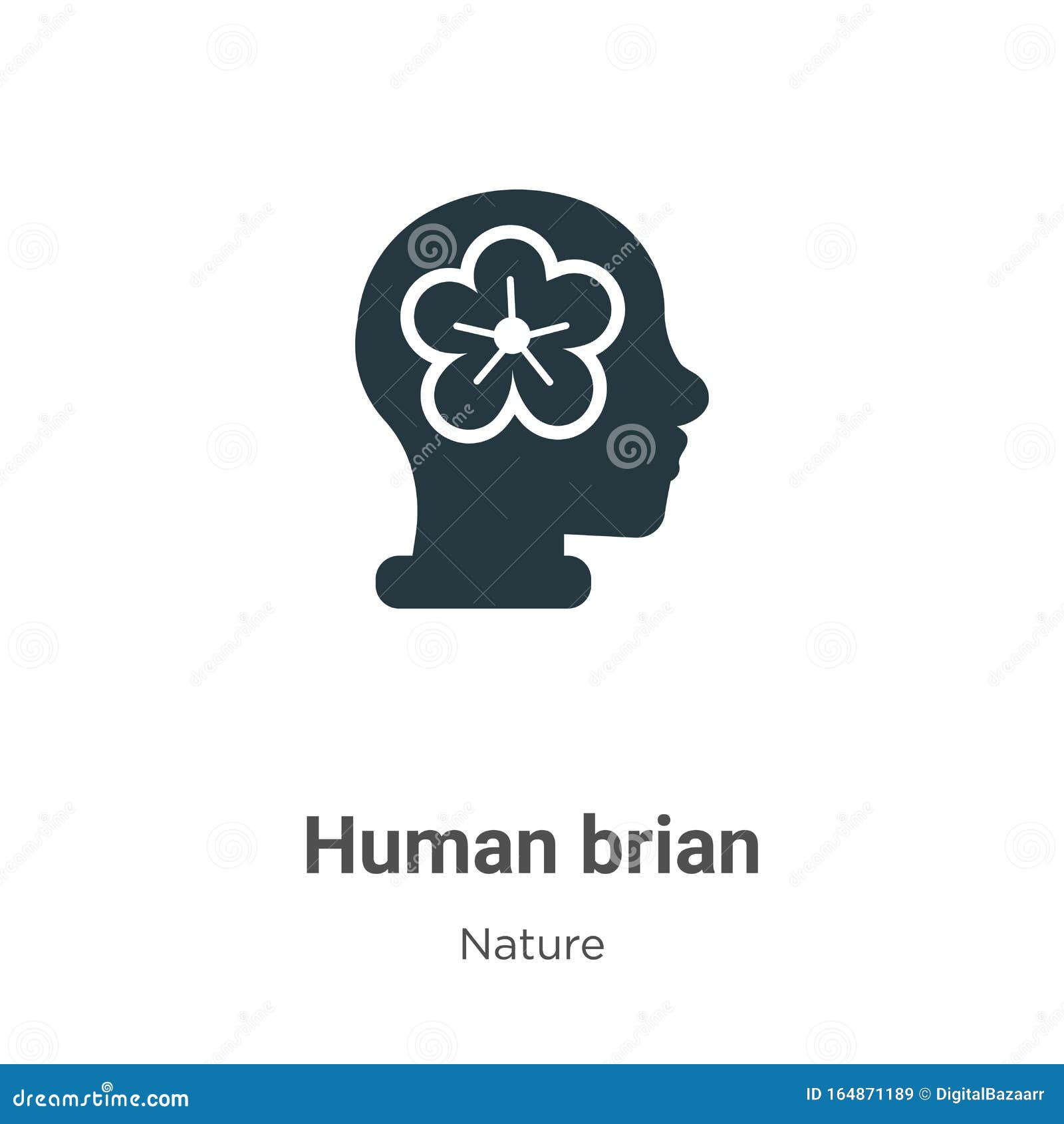 Human Brian Icon Vector Isolated On White Background, Human Brian Sign ...