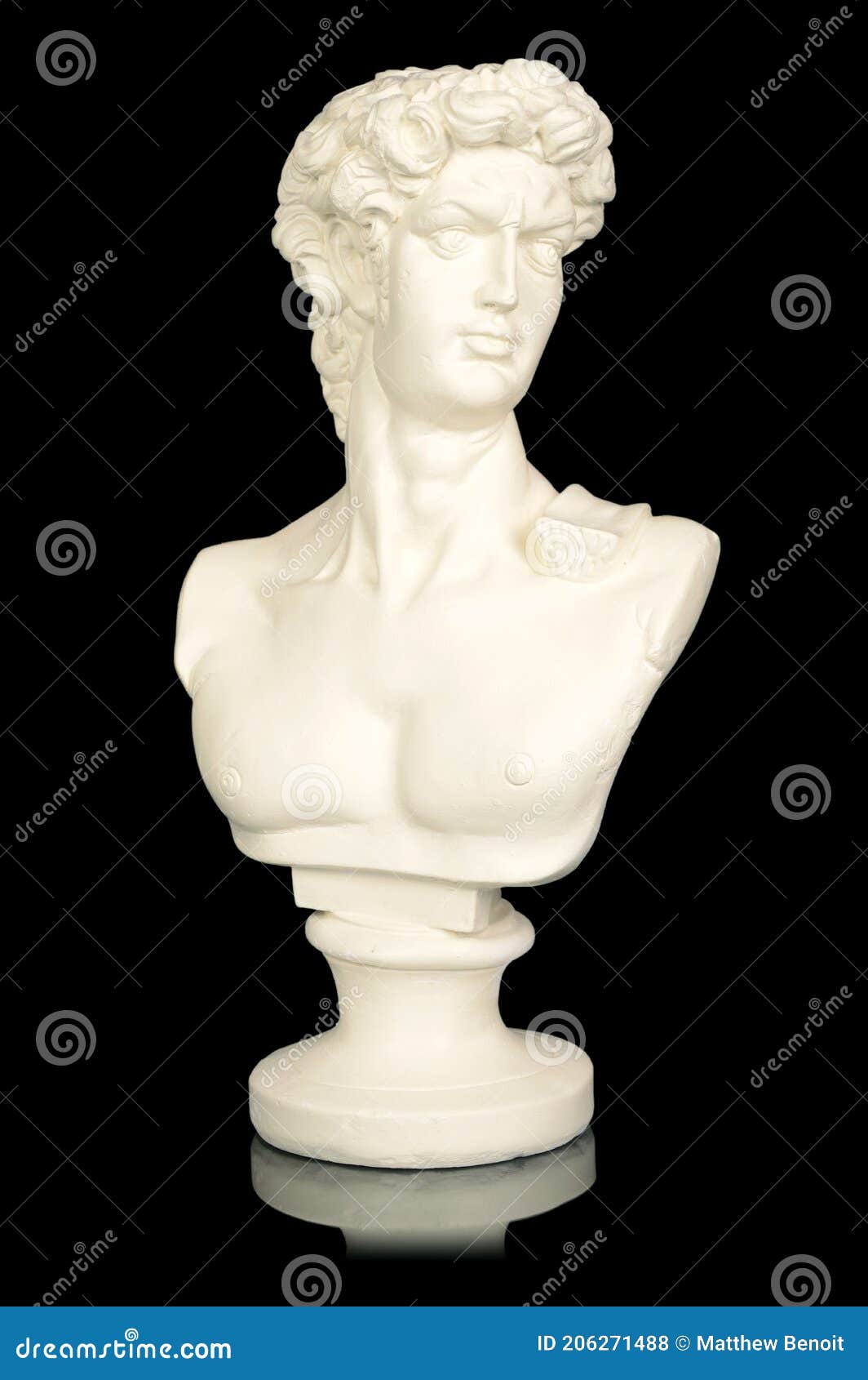 Human Bust Statue stock photo. Image of culture, historical - 206271488