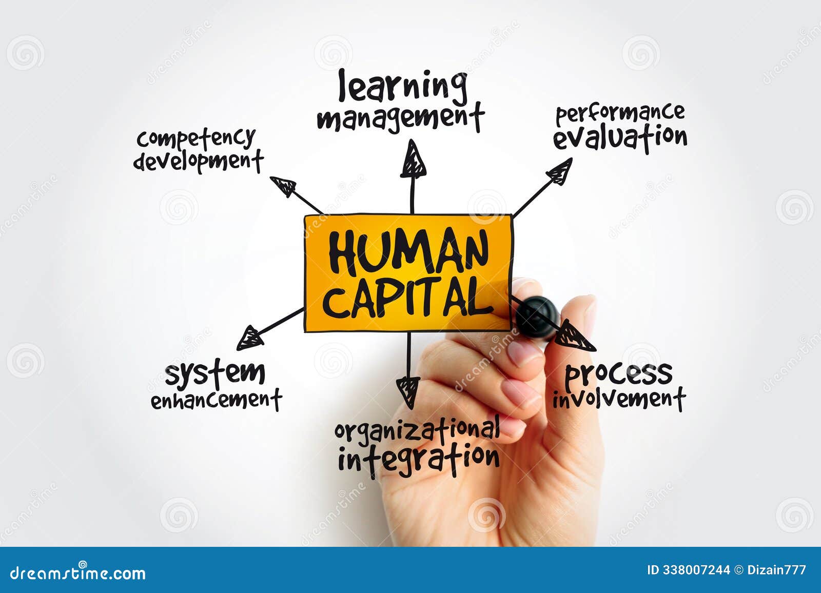 Human Capital Mind Map with Marker, Business Management Strategy ...