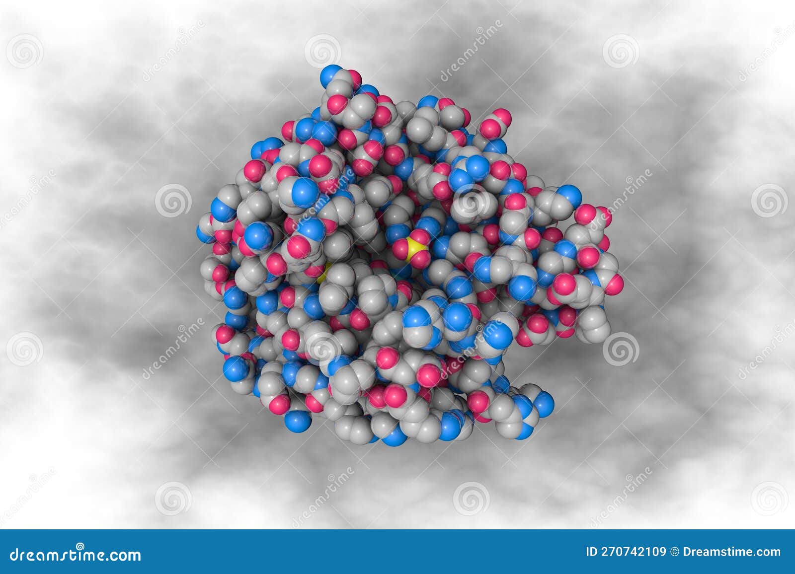 Human Carbonic Anhydrase II in Complex with Bicarbonate. Space-filling ...