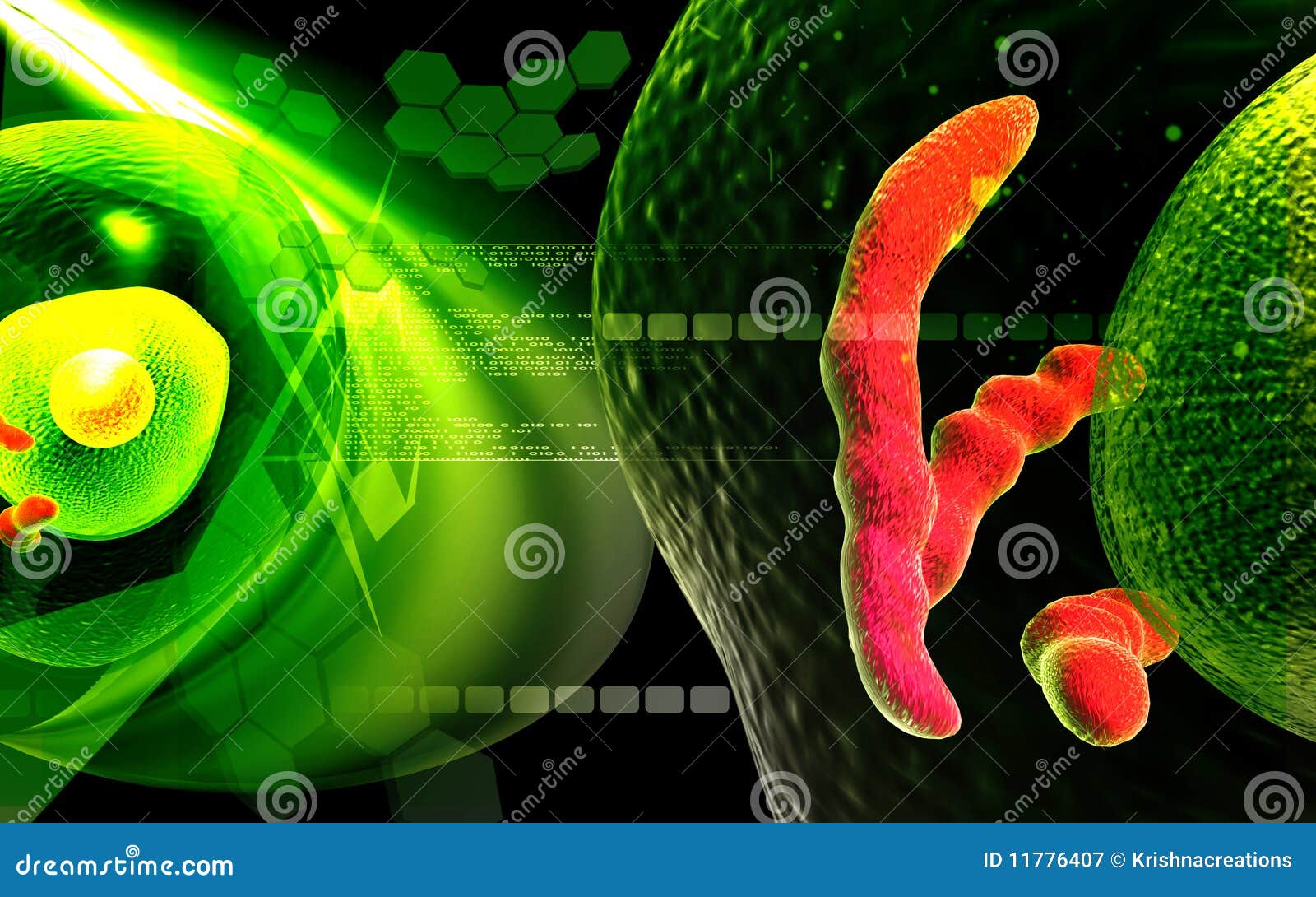 Human Cell Green Stock Illustrations – 6,227 Human Cell Green Stock ...