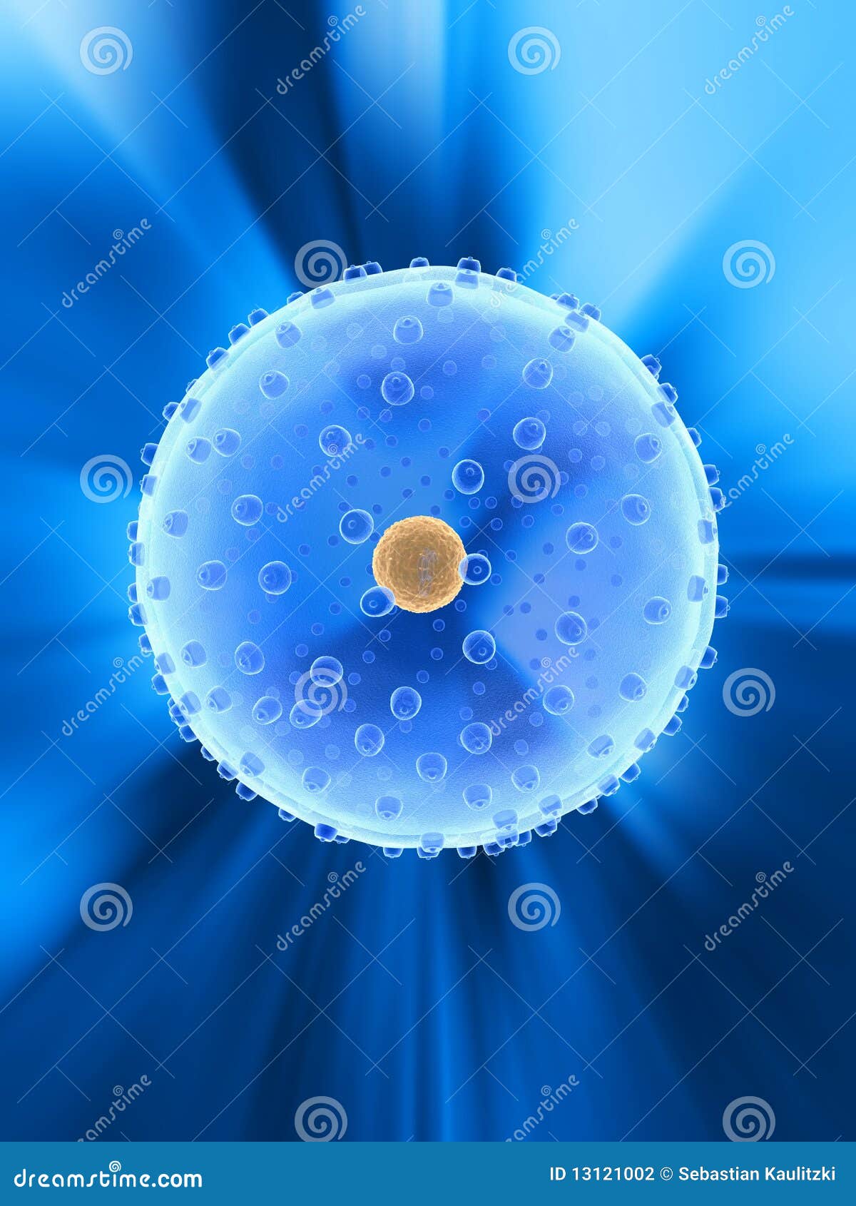 Human cell stock illustration. Illustration of receptor - 13121002