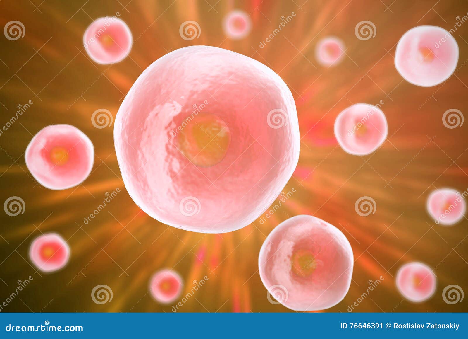 Human Cell, Animal , Science Background. 3d Illustration ...