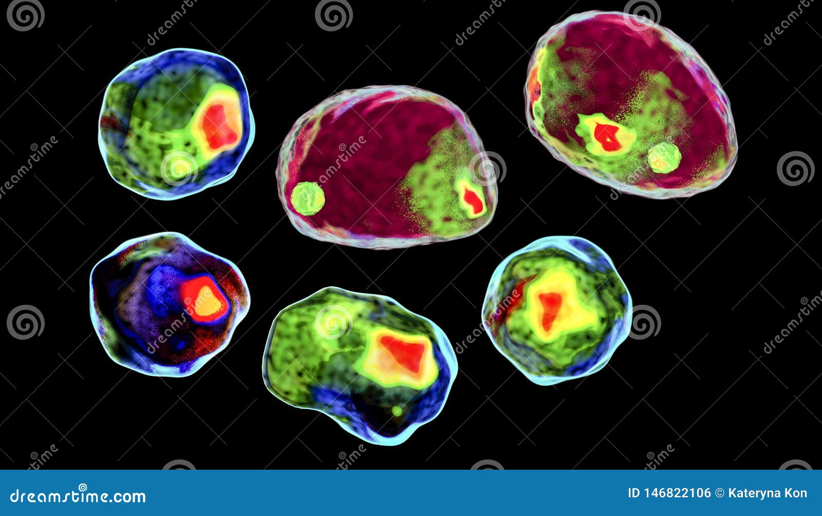 Human Cell, Colored in Imaging Flow Cytometry Style Stock Illustration ...