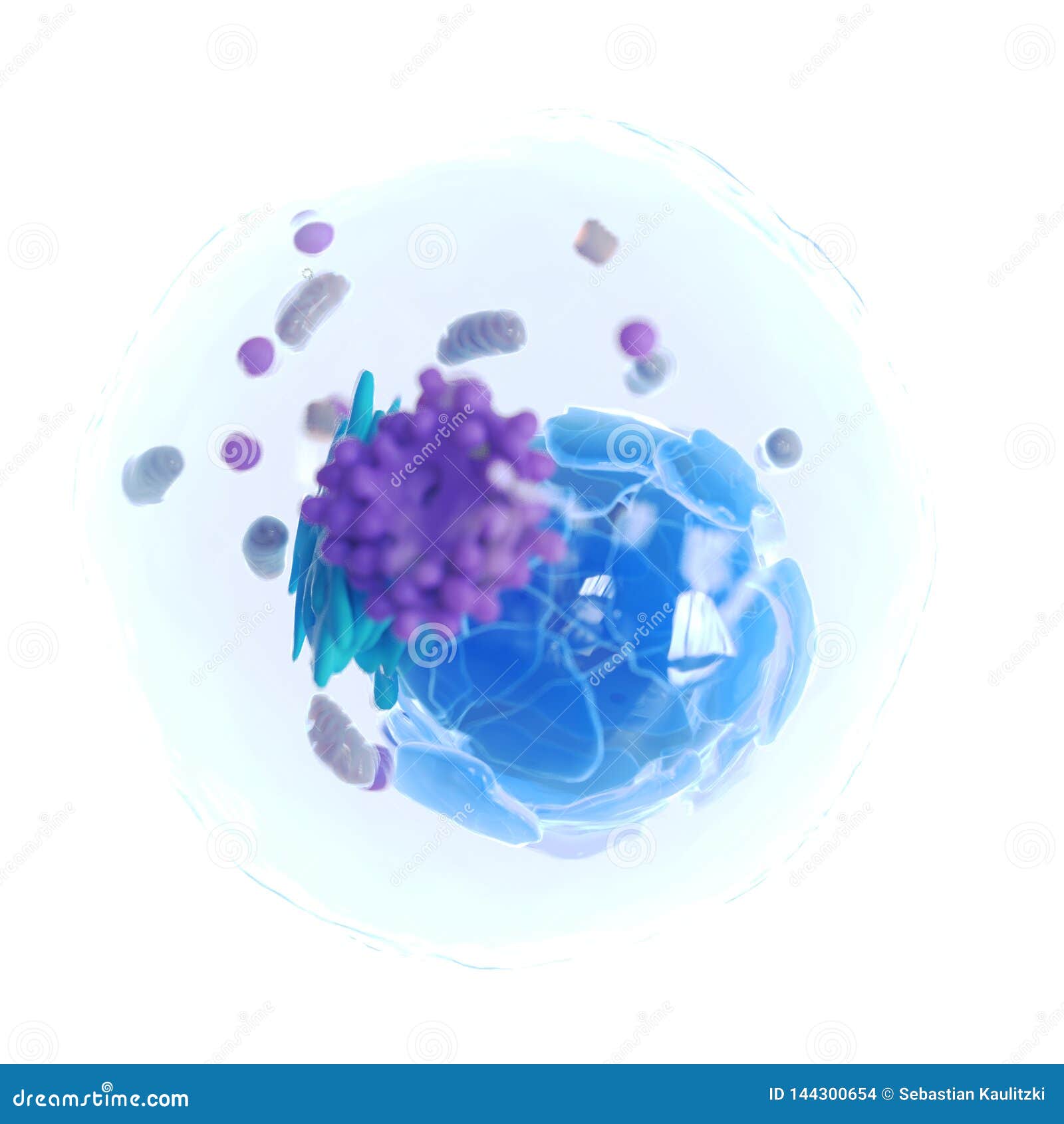 A human cell stock illustration. Illustration of microscopic - 144300654