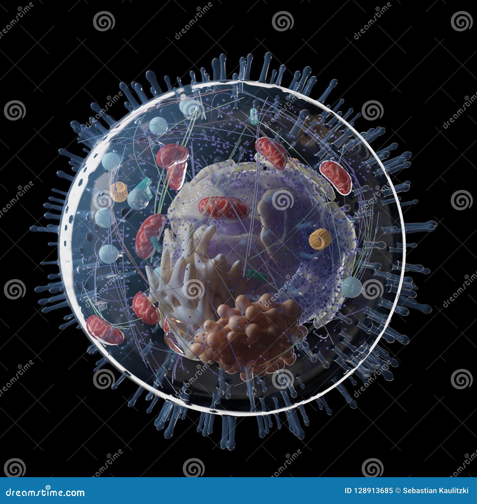 Real Life Human Cell