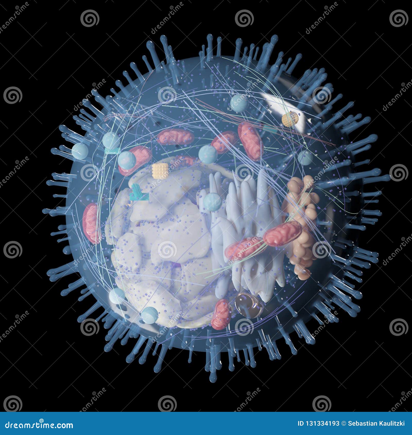 A human cell stock illustration. Illustration of biology - 131334193
