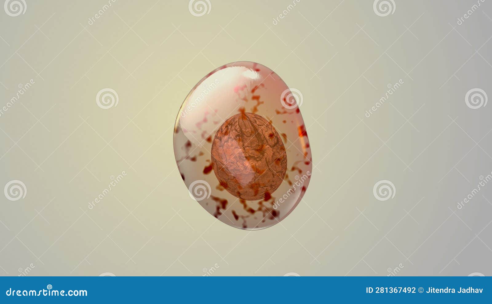 Human Cell or Embryonic Stem Cell Stock Illustration - Illustration of ...
