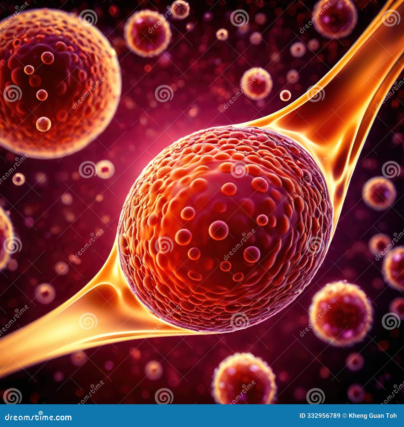 Human Cell Or Embryonic Stem Cell Microscope Background. Stock Image ...
