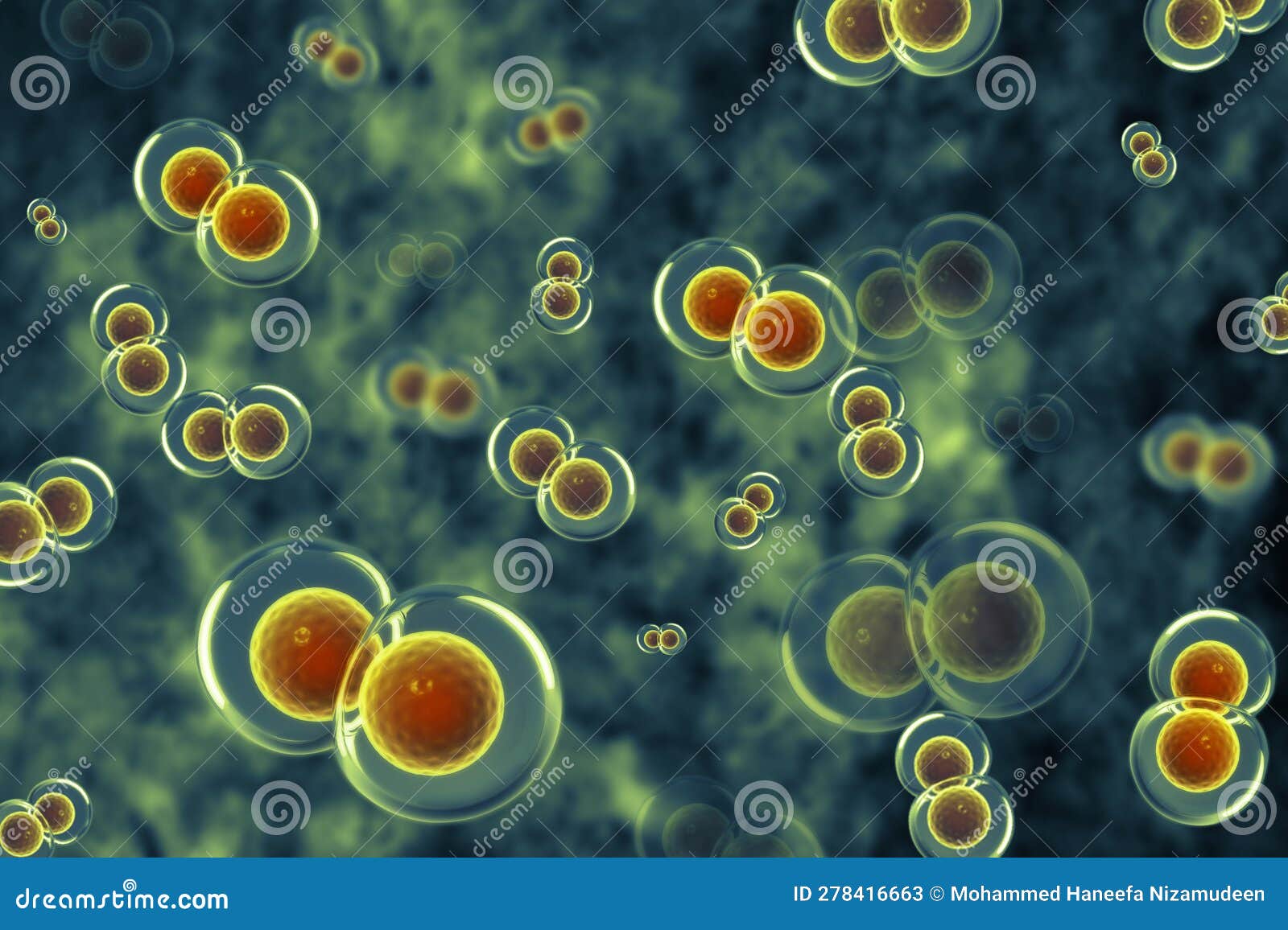 Human Cell Or Embryonic Stem Cell On Scientific Background Stock ...