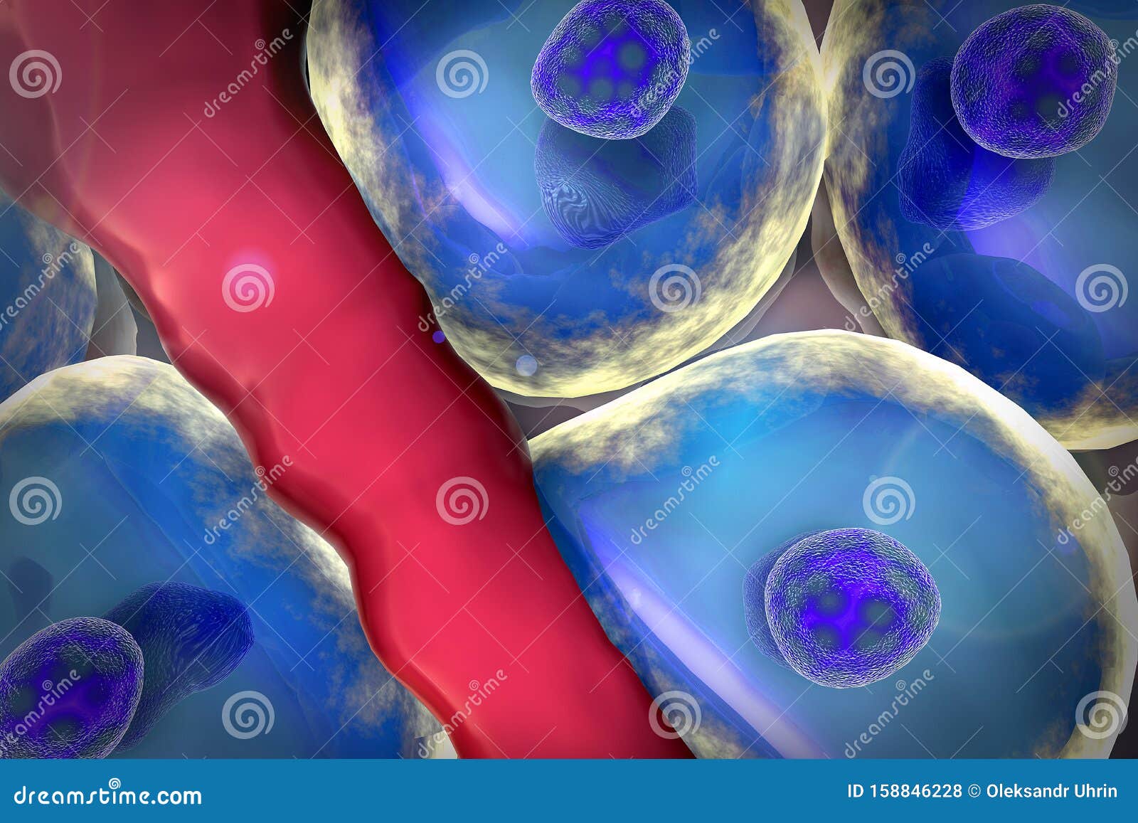 Human cell and stock illustration. Illustration of graphic - 158846228