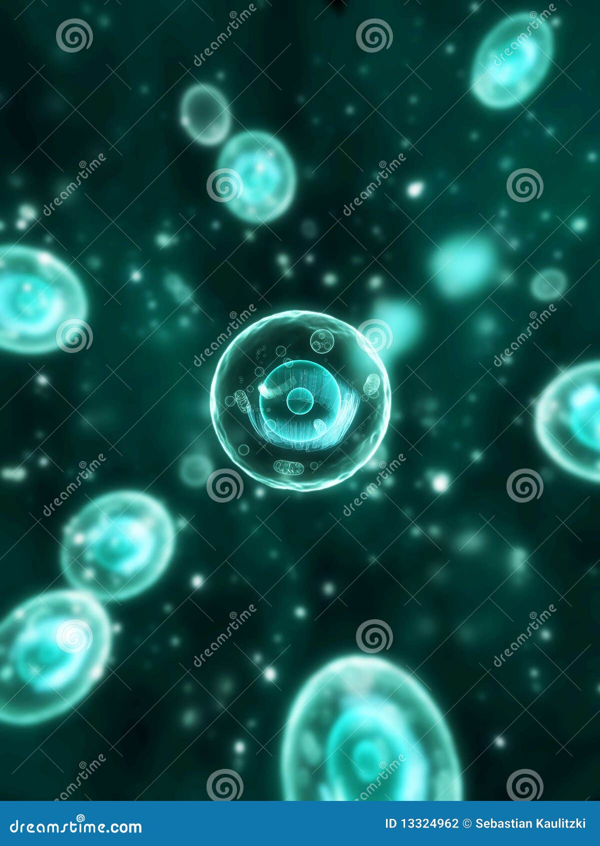 Human cells stock illustration. Illustration of cell - 13324962
