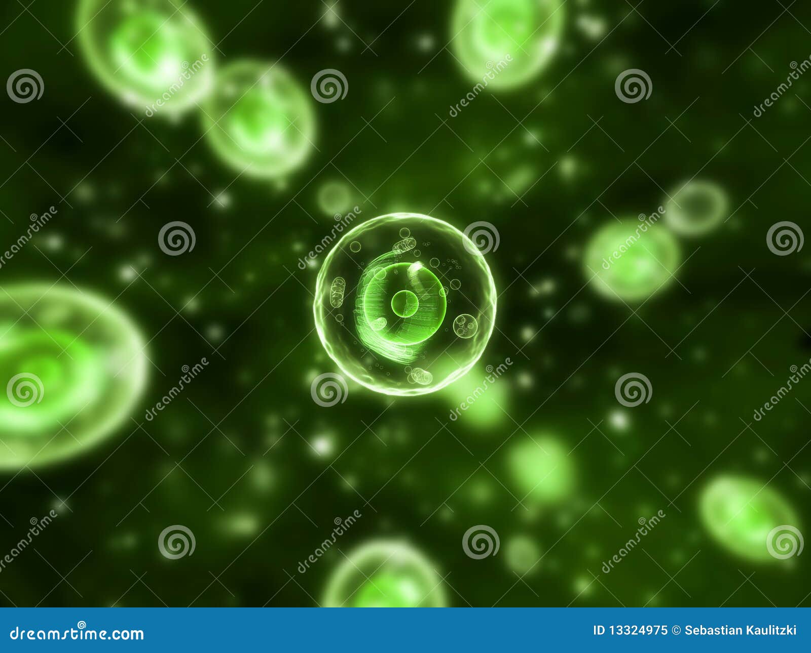 Human cells stock illustration. Illustration of cell - 13324975