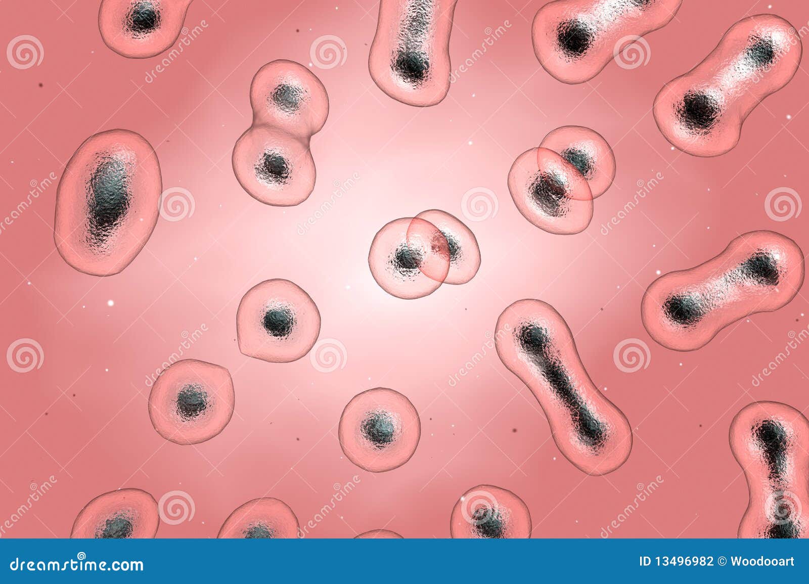 Human cells stock illustration. Illustration of healthcare - 13496982