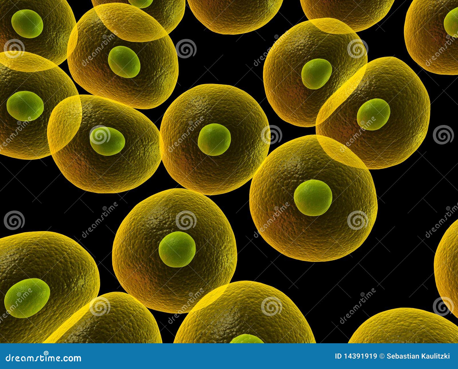 Human Cells On Light Blue Background. Nucleus And Cytoplasm. Royalty ...