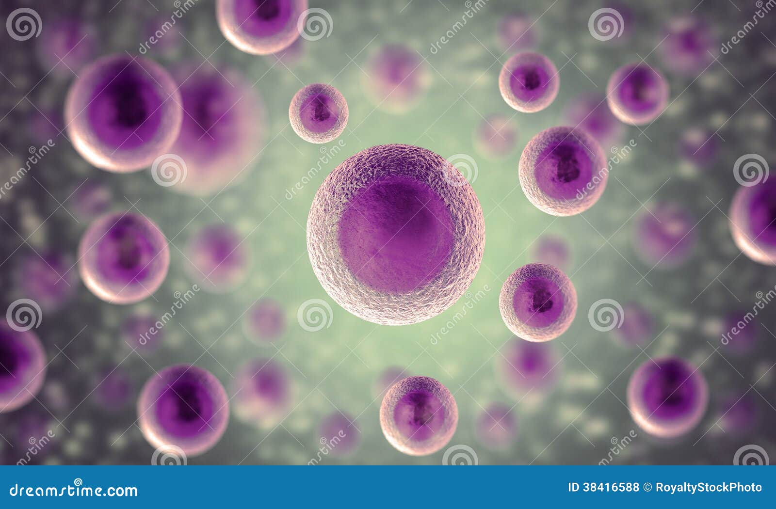 Human cells stock illustration. Illustration of cell - 38416588