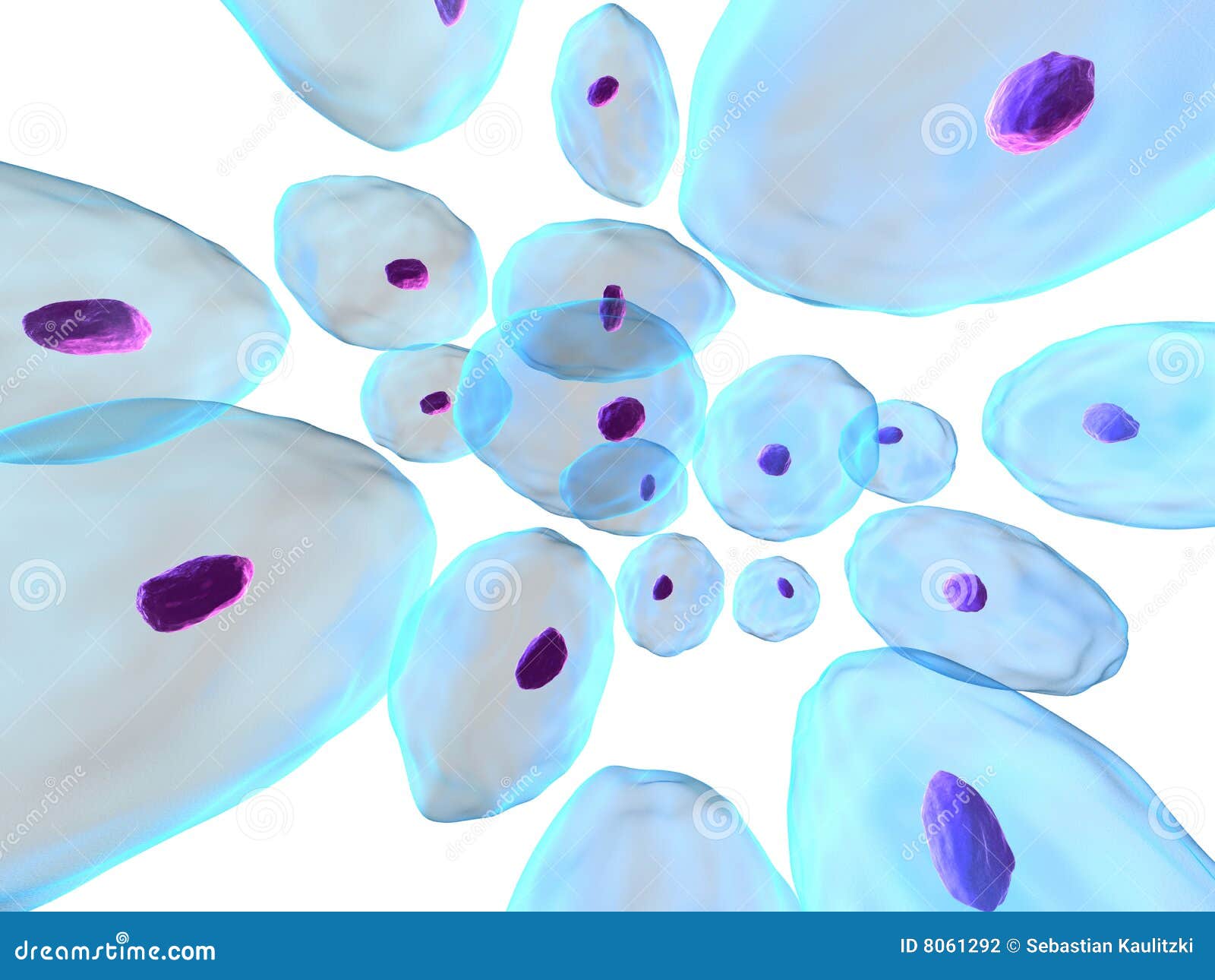 Human Cells Royalty-Free Illustration | CartoonDealer.com #127836228