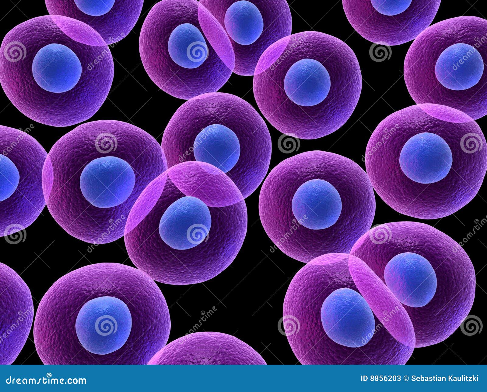 Human cells stock illustration. Illustration of microscope - 8856203