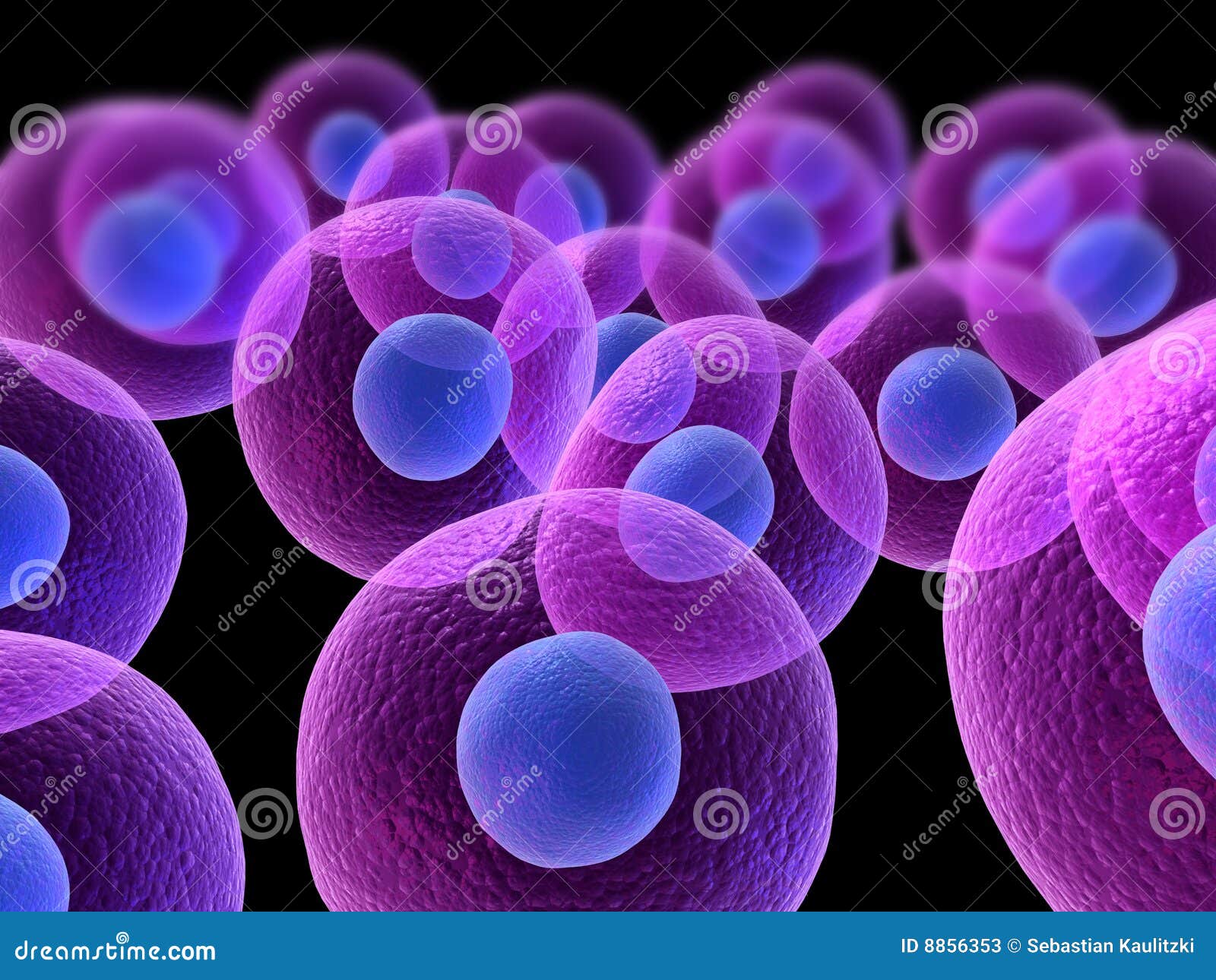 Human cells stock illustration. Illustration of illustrations - 8856353