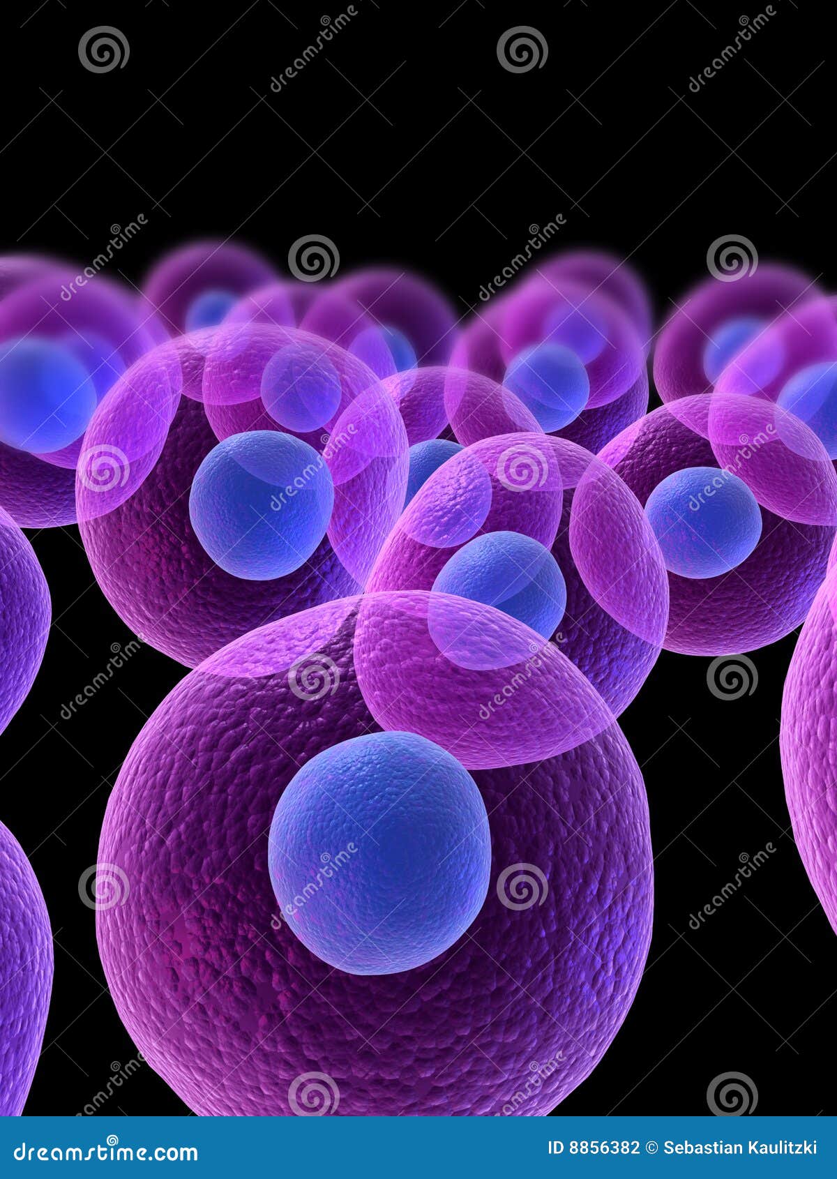 Human Cells Stock Photography - Image: 8856382