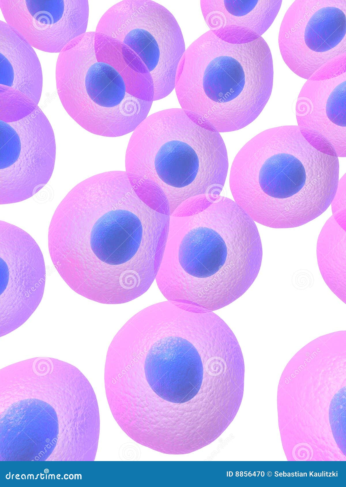 Human cells stock illustration. Illustration of microbiology - 8856470