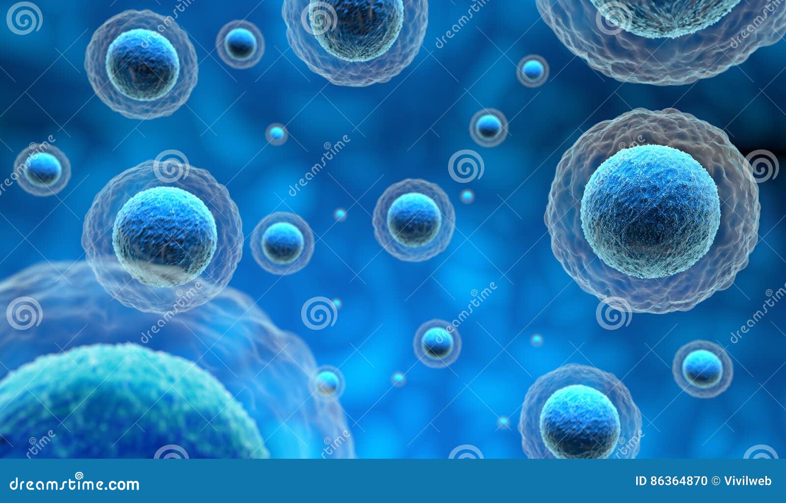 Human Cell Background