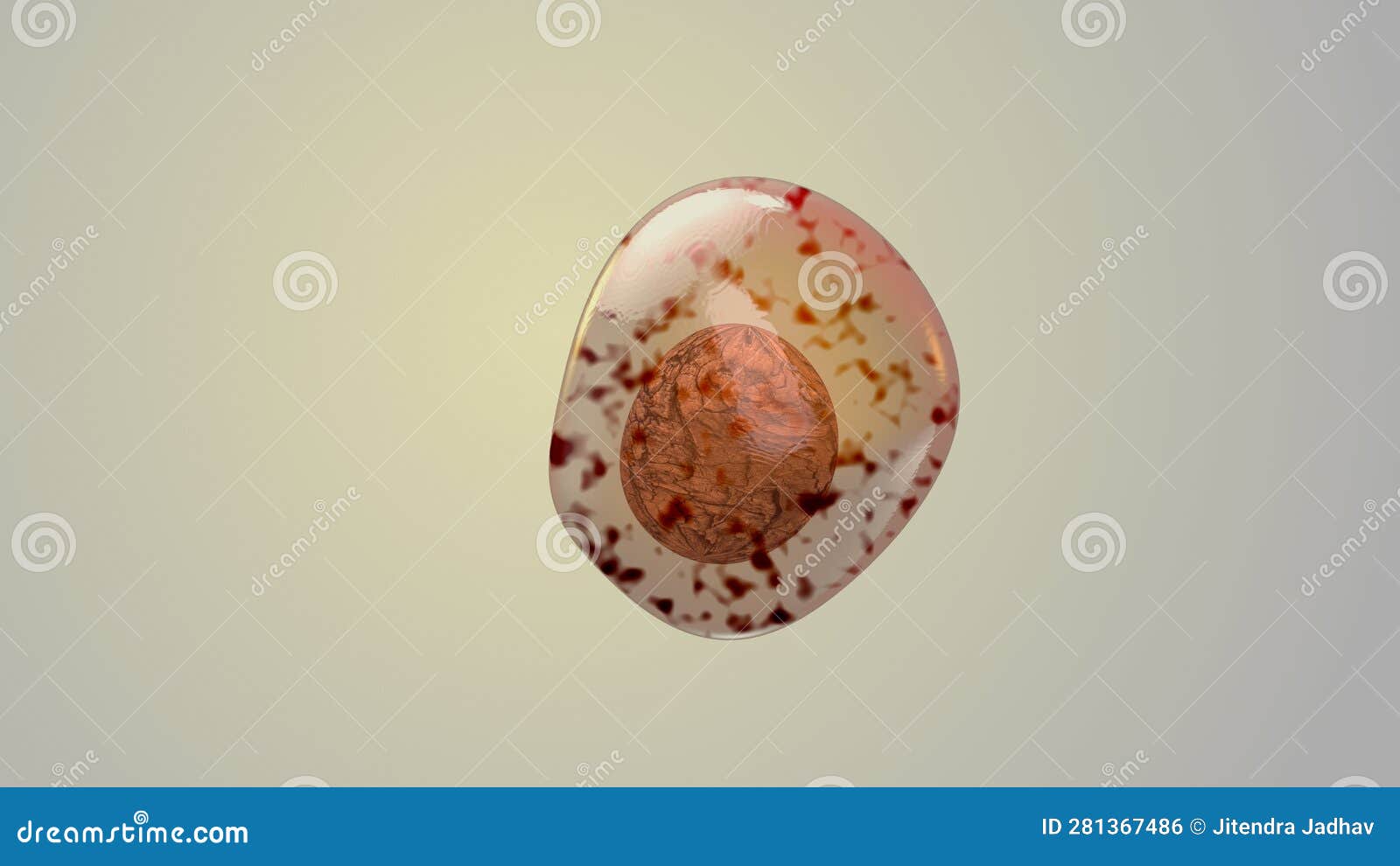 Human Cell or Embryonic Stem Cell Stock Illustration - Illustration of ...