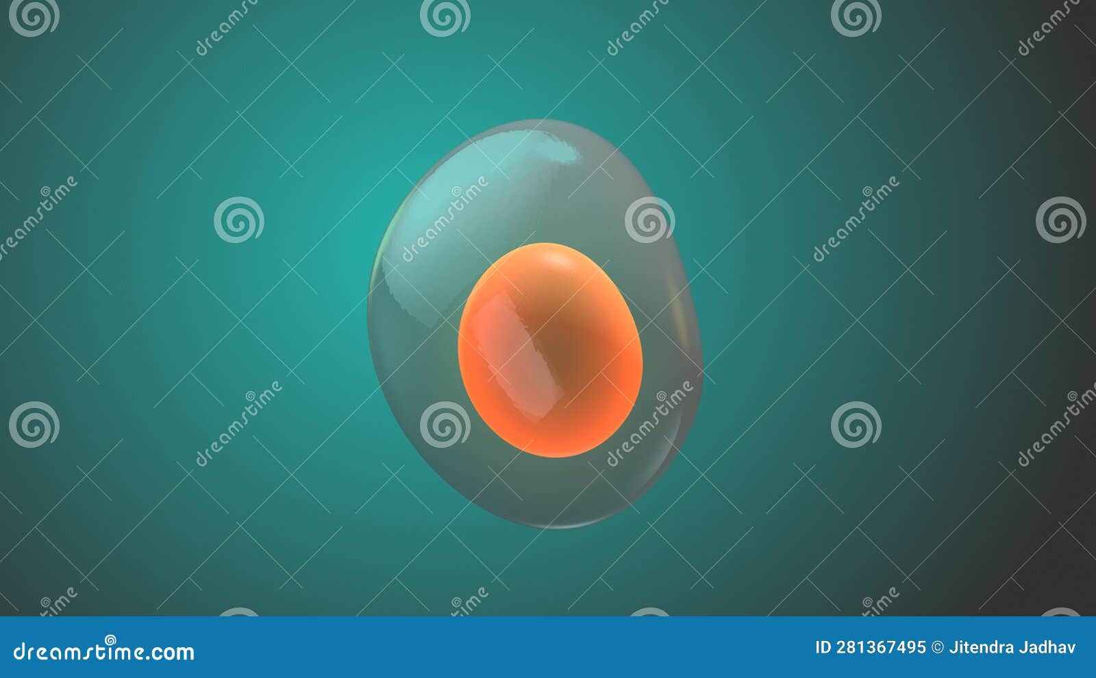 Human Cell or Embryonic Stem Cell Stock Illustration - Illustration of ...