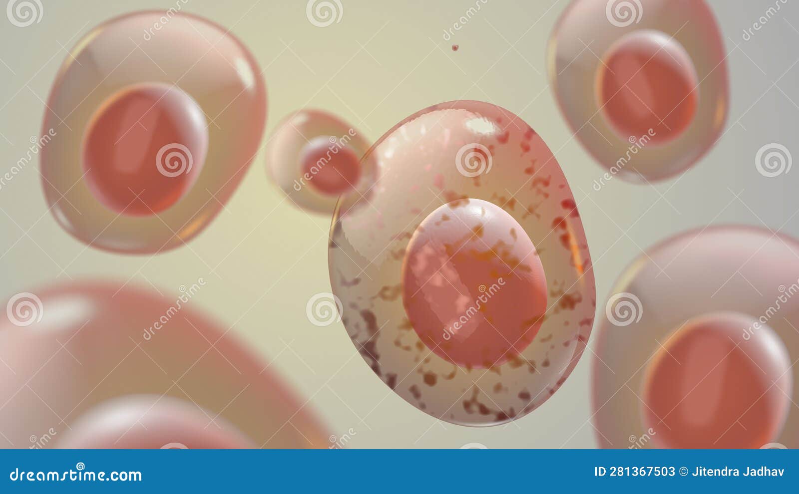 Human Cell or Embryonic Stem Cell Stock Illustration - Illustration of ...