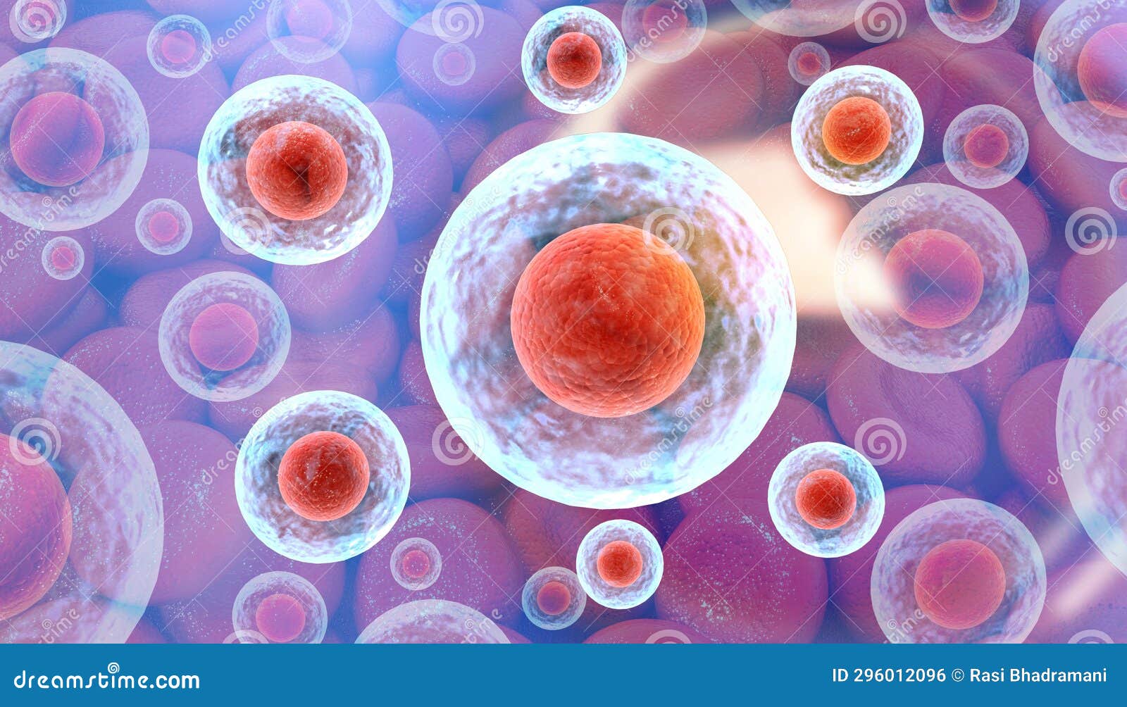 Human cells stock illustration. Illustration of reproduction - 296012096