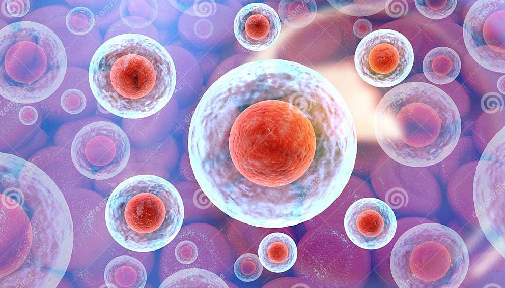 Human cells stock illustration. Illustration of reproduction - 296012096