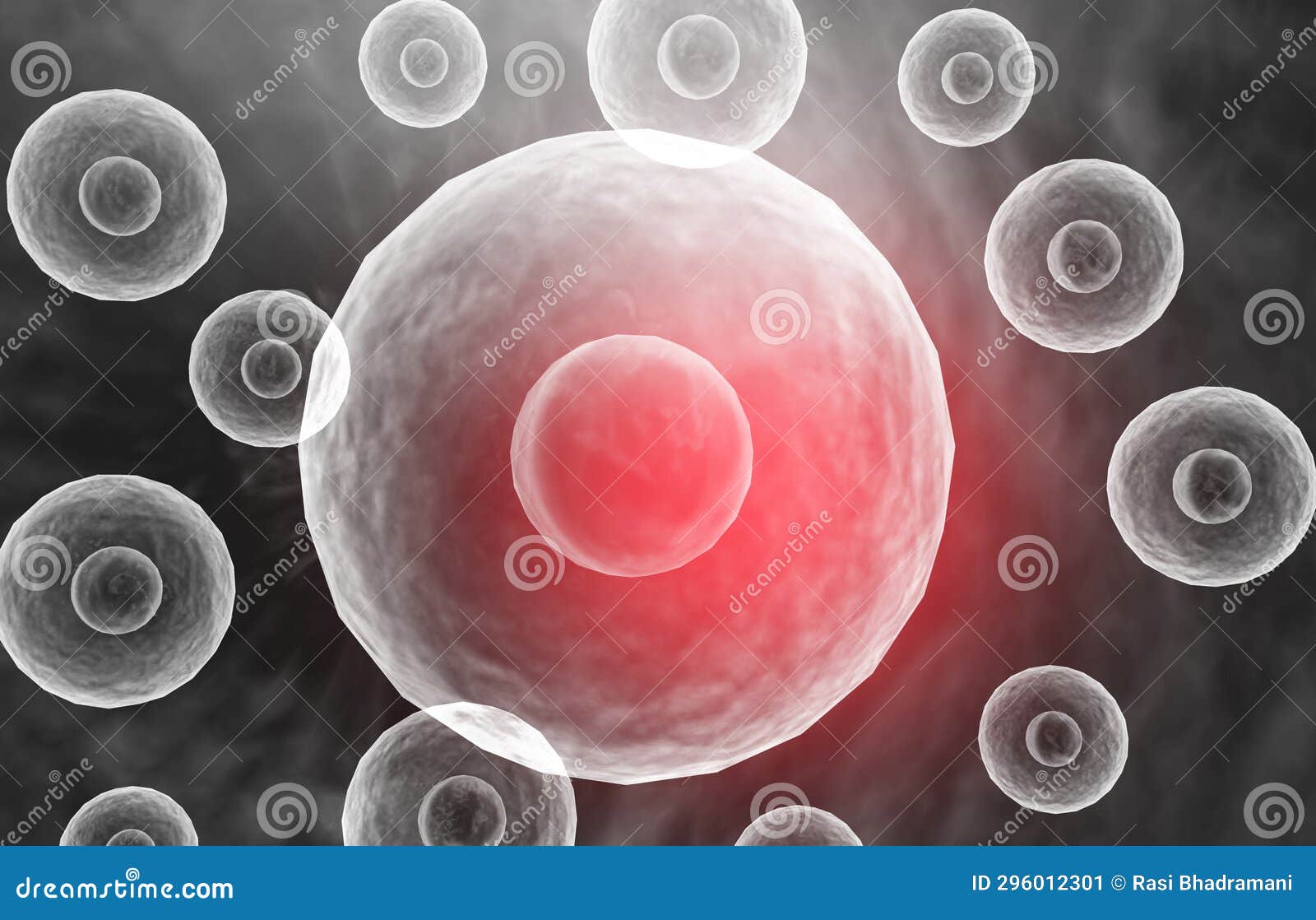 Human cells stock illustration. Illustration of cell - 296012301