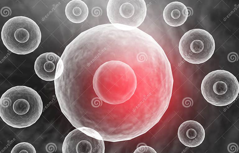 Human cells stock illustration. Illustration of cell - 296012301