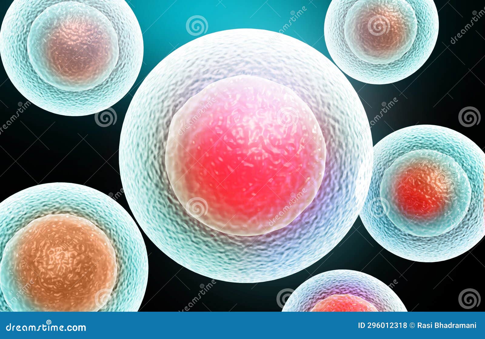 Human cells stock illustration. Illustration of medicine - 296012318