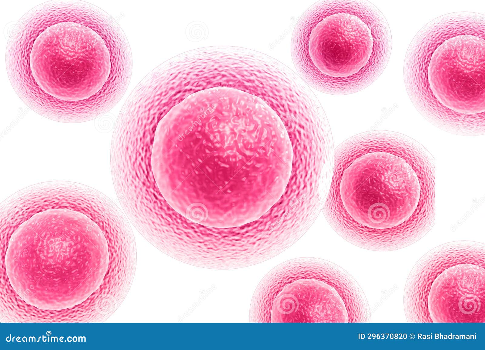 Human cells stock illustration. Illustration of backdrop - 296370820