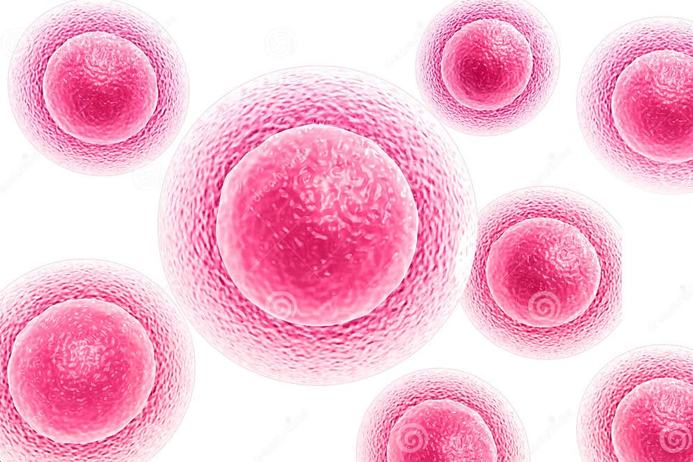 Human cells stock illustration. Illustration of backdrop - 296370820