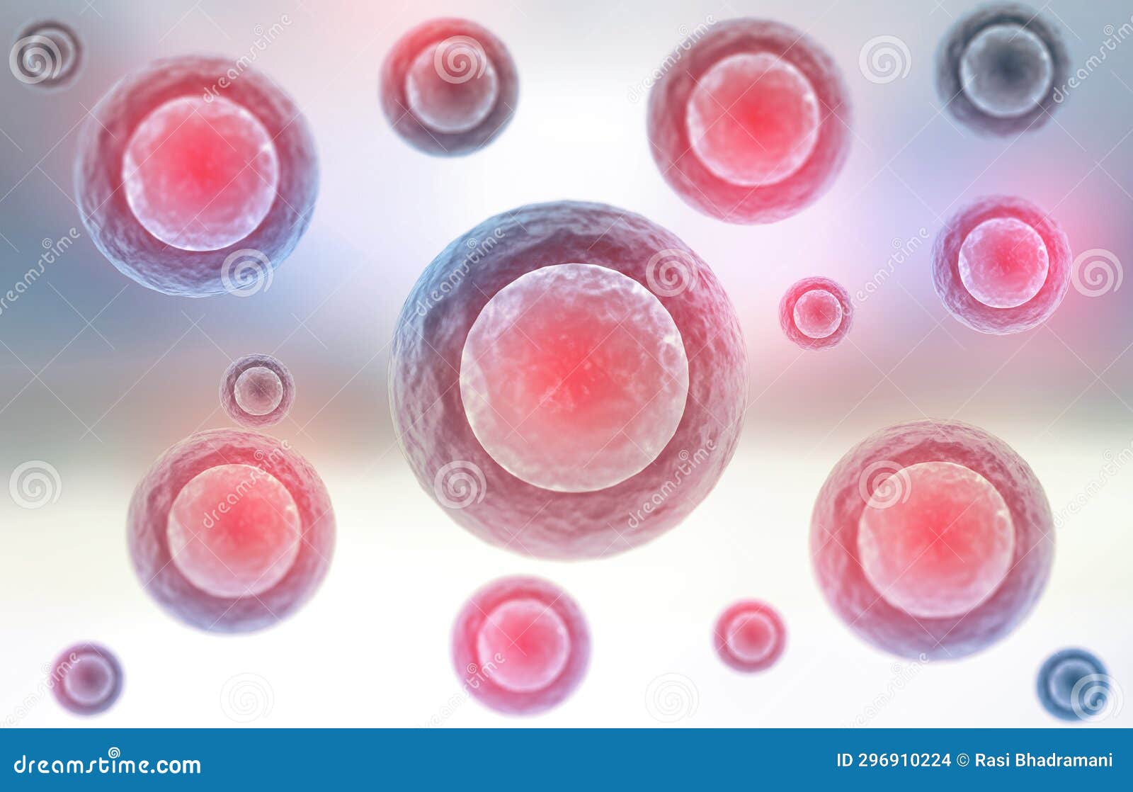 Human cells stock illustration. Illustration of biology - 296910224