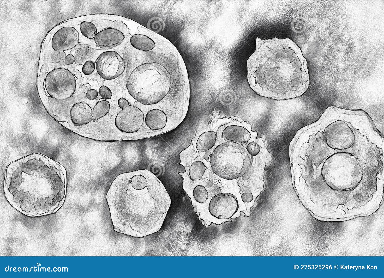 Human Cells Under Microscope, Illustration Stock Illustration ...